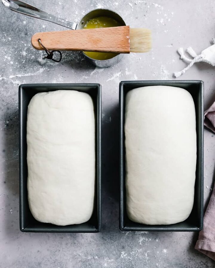 Soft Honey White Sandwich Bread Wild Thistle Kitchen