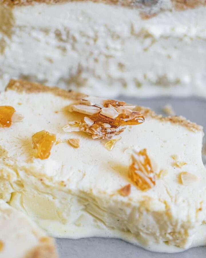 Lemon Olive Oil Semifreddo recipe - {easy almond biscotti crust}