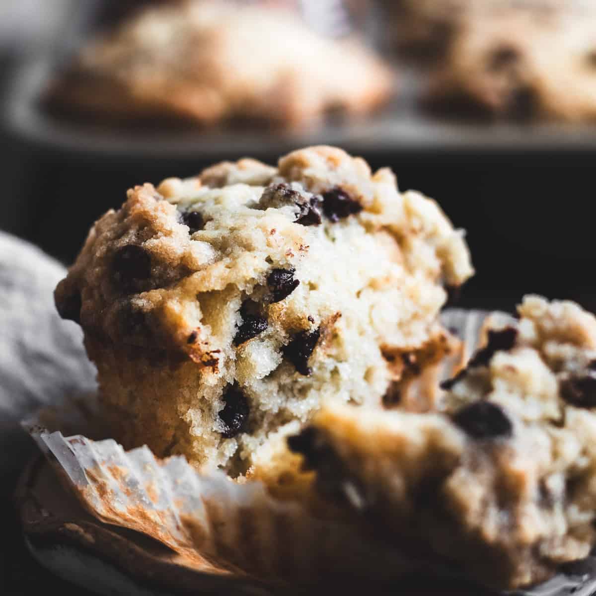 Chocolate Chip Muffins with Chocolate Chip Streusel { easy + one bowl }
