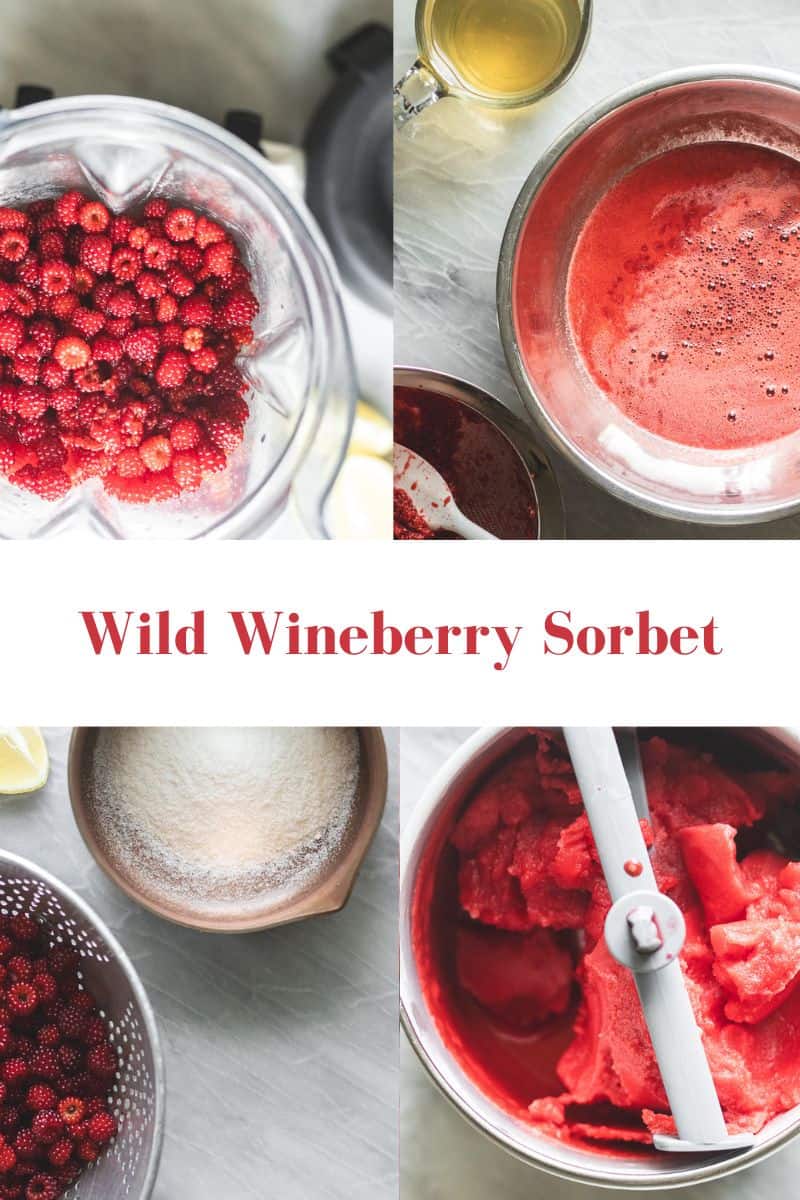 Wineberry Sorbet - Wild Thistle Kitchen