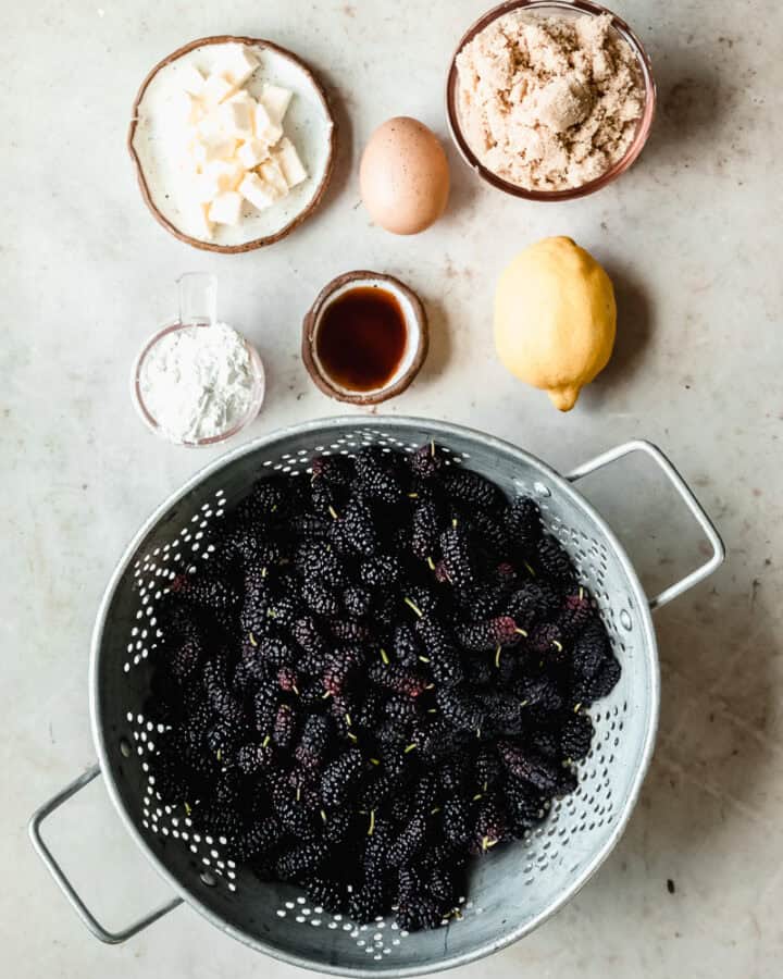 Mulberry Pie (easy + old-fashioned)