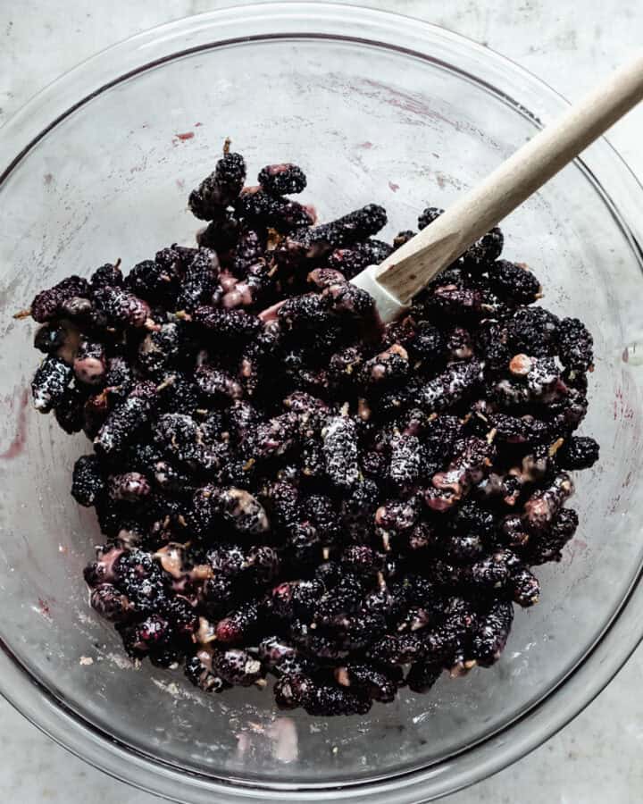Mulberry Pie (easy + old-fashioned)