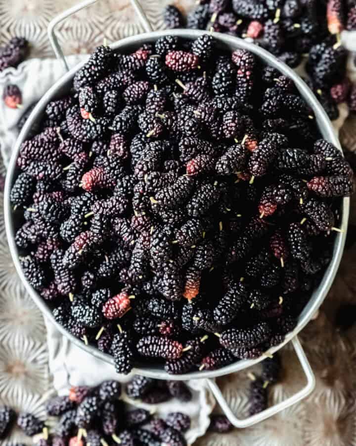 Mulberry Pie (easy + old-fashioned)