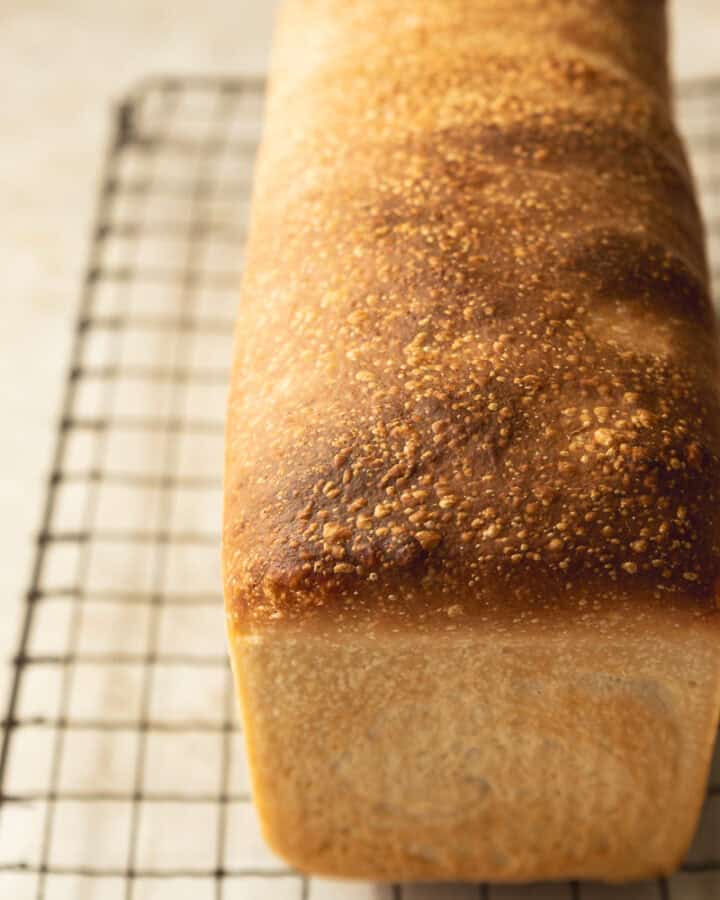 Sandwich Bread Stand Mixer at Debra Baughman blog