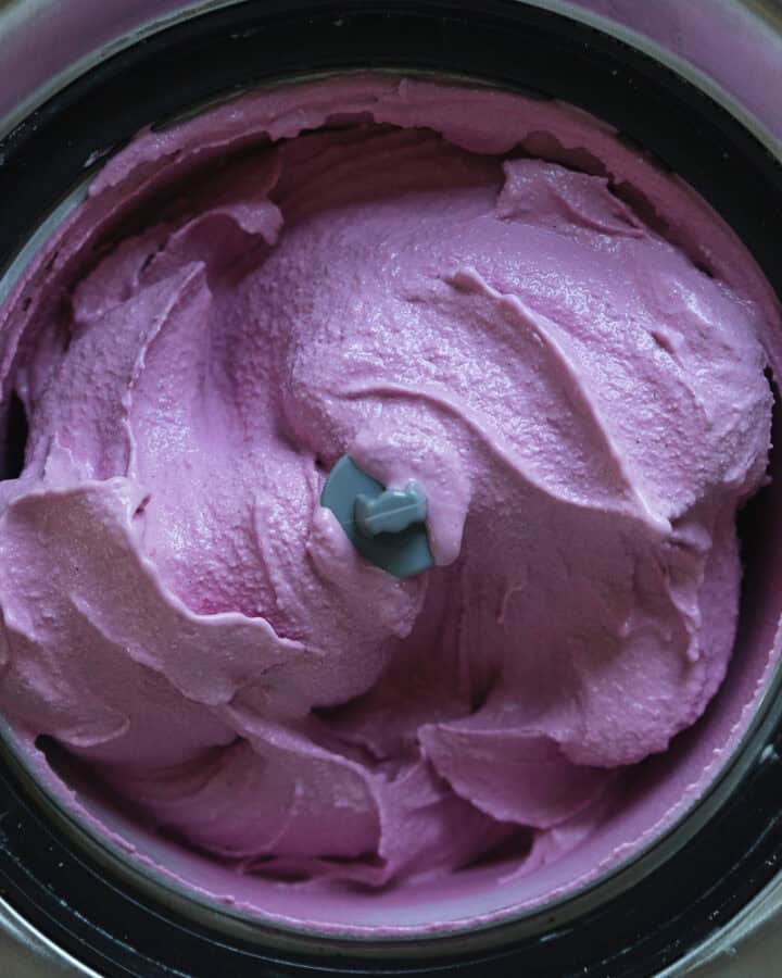 Black Raspberry Ice Cream - Wild Thistle Kitchen