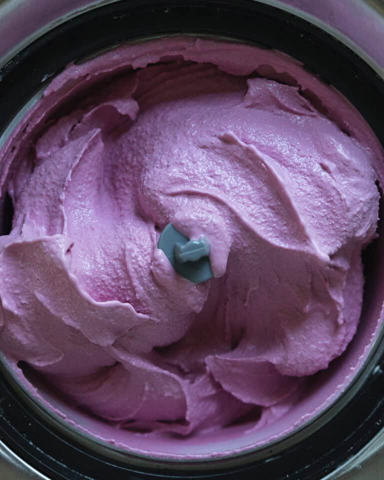 Black Raspberry Ice Cream - Wild Thistle Kitchen