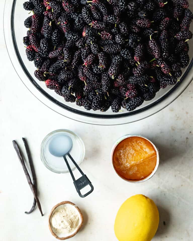 Mulberry Jam Recipe for canning (fruit juice sweetened)