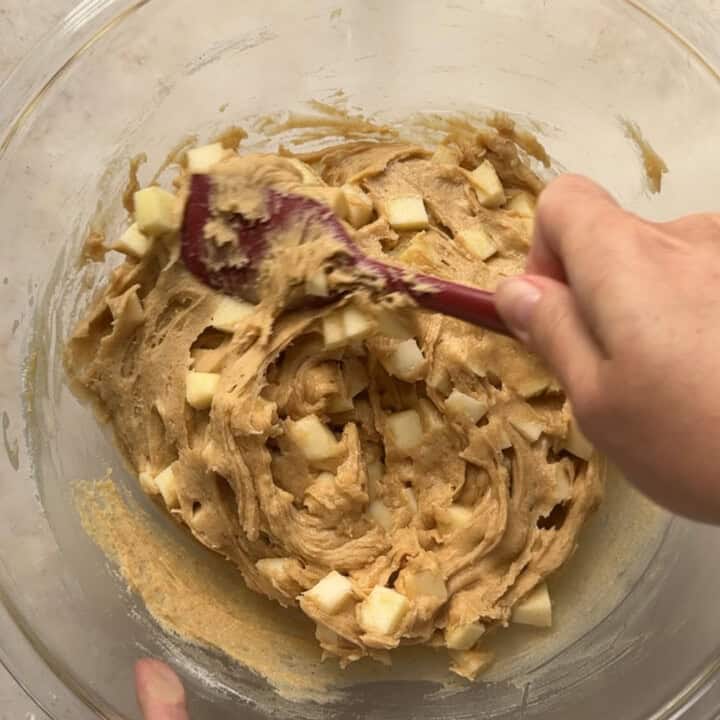Sourdough Discard Apple Bread (moist + quick + easy)
